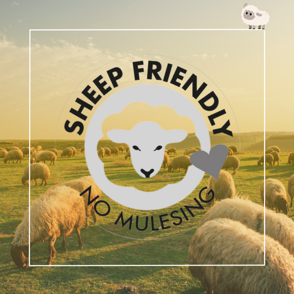 La laine sans mulesing, mulesing-free - Le blog de Ladylaine